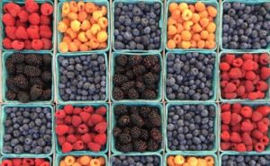 PHP Object Cloning - Phppot