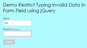 Restrict Typing Invalid Data in Form Field using jQuery - Phppot